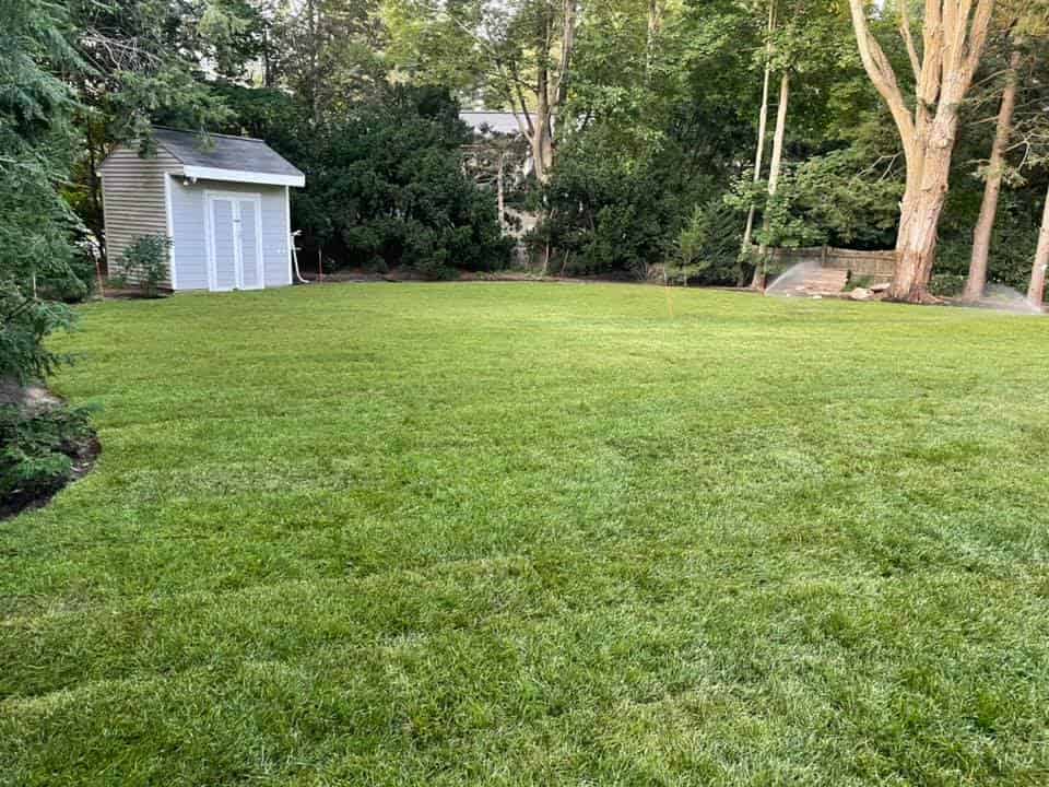 Landscaping - PRO MJL LANDSCAPING